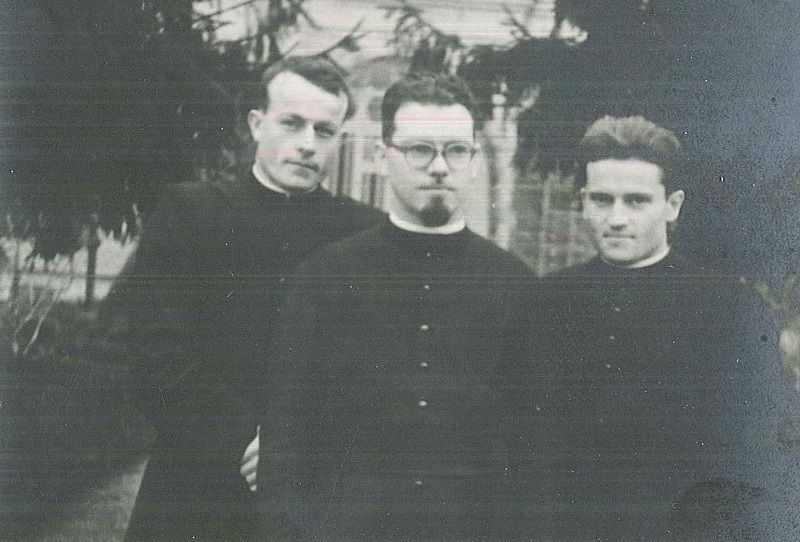 O paradigma xaveriano no Brasil